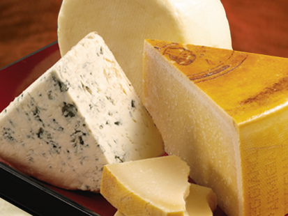 Creamy Specialty Cheese - Lactalis Culinary