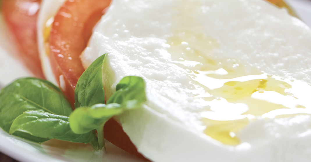 Fresh Mozzarella - Lactalis Culinary